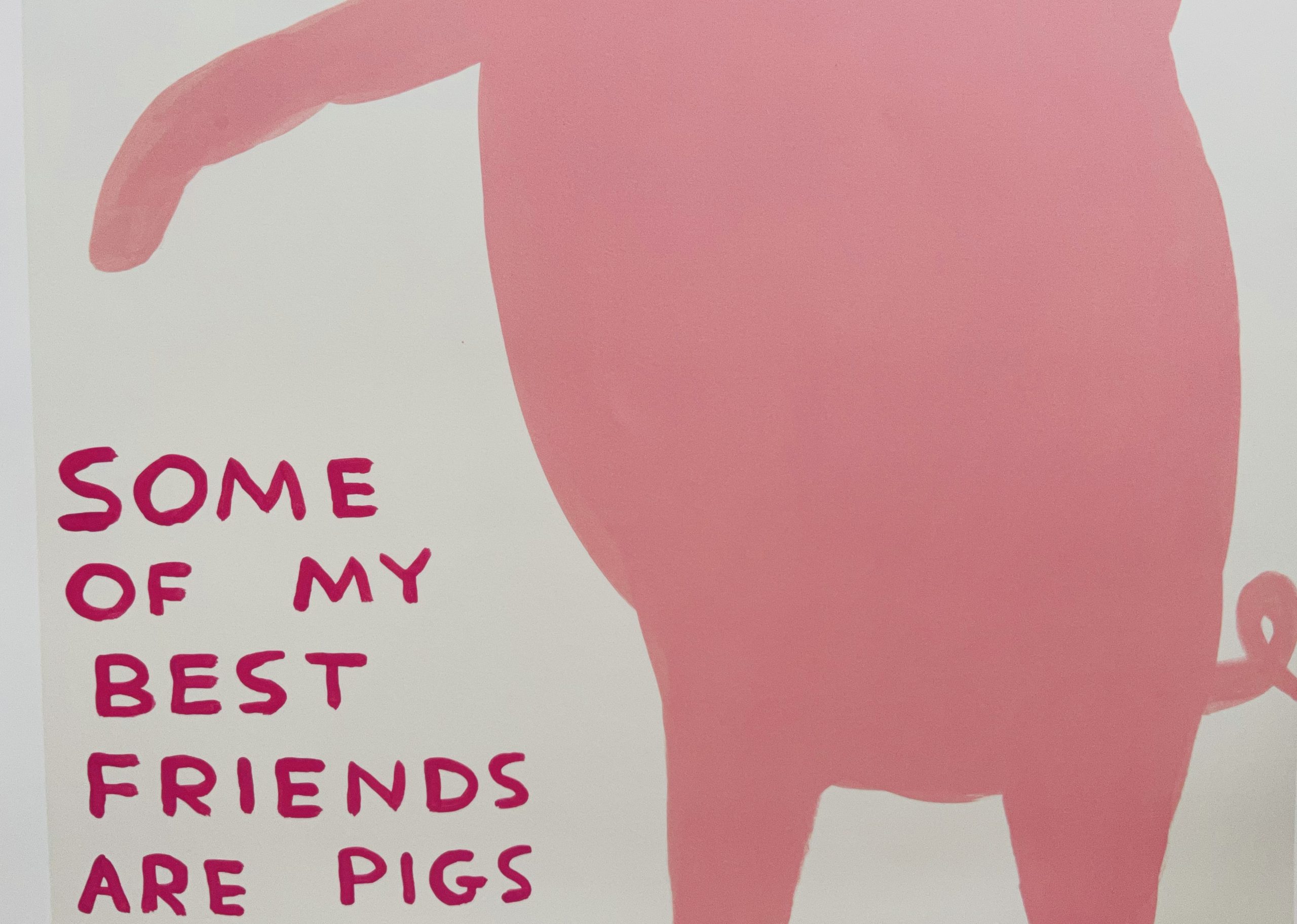 Some Of My Best Friends Are Pigs Poster by David Shrigley official